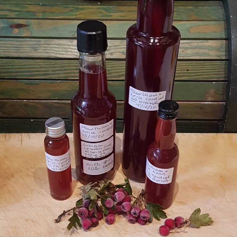 Happy Heart Hawthorn Cordial – Flower Growing